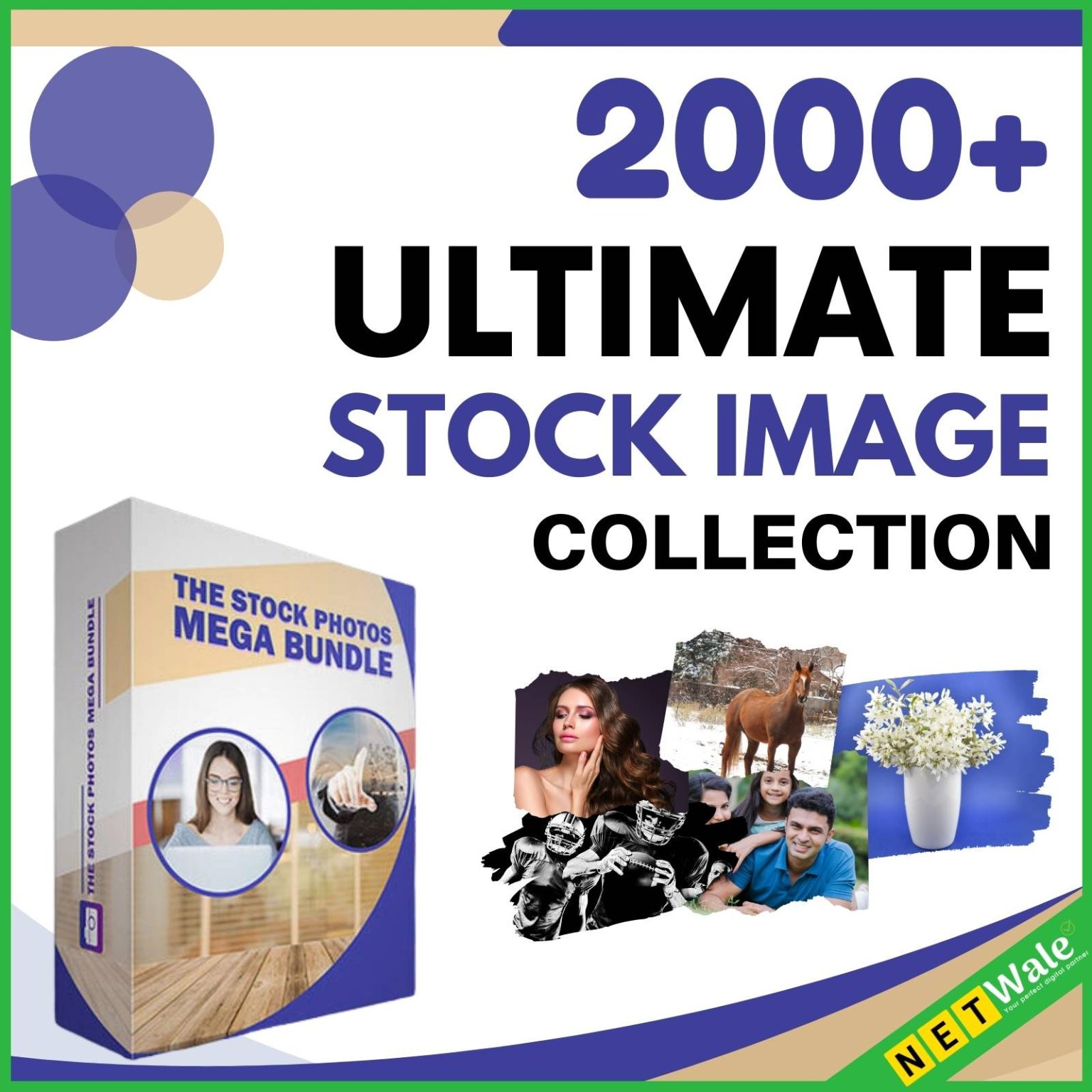 2000+ Ultimate Stock Image Collection - Netwale.com