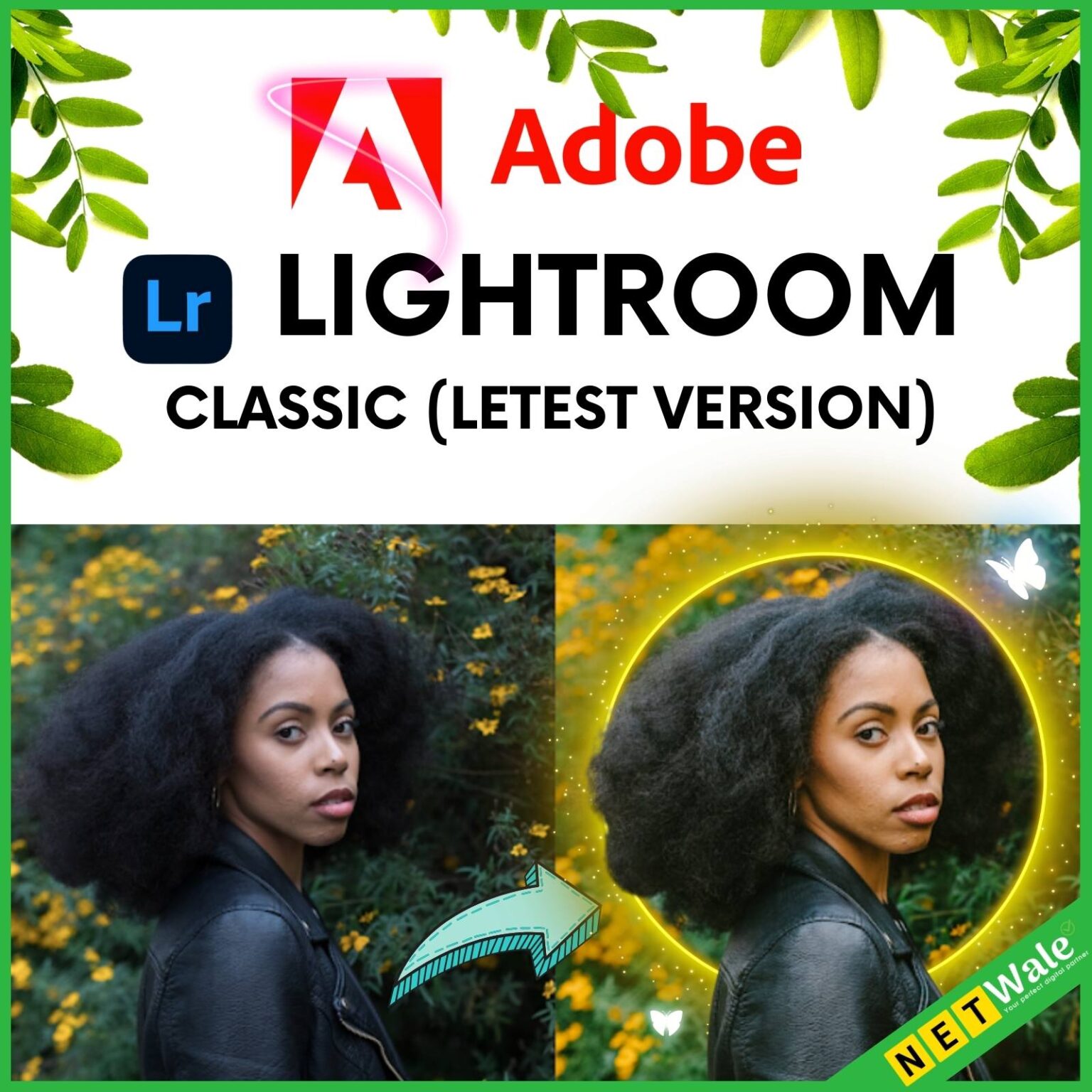 Adobe Lightroom Classic (Latest Version) - Netwale.com