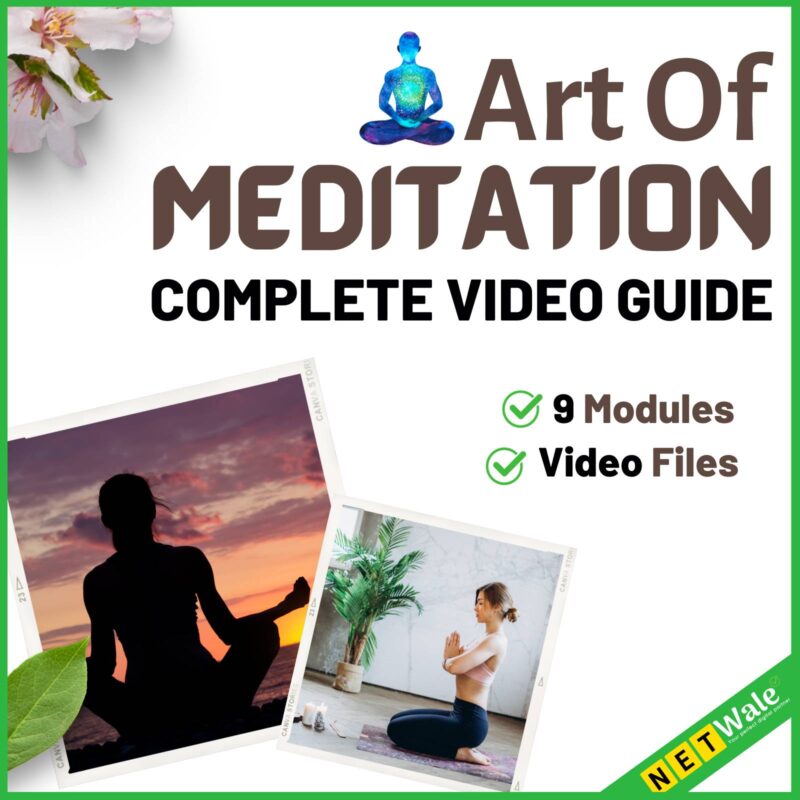 Art of Meditation - Complete Video Guide - Netwale.com