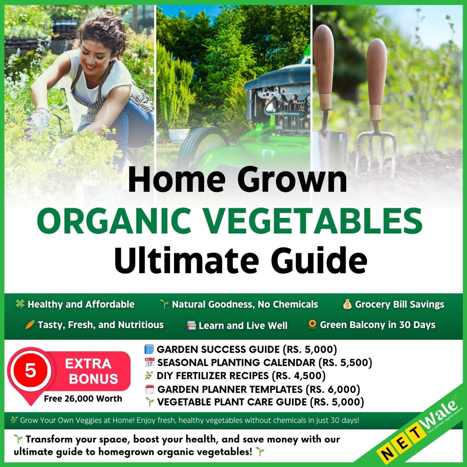 Home Grown Organic Vegetables Ultimate Guide - Netwale.com