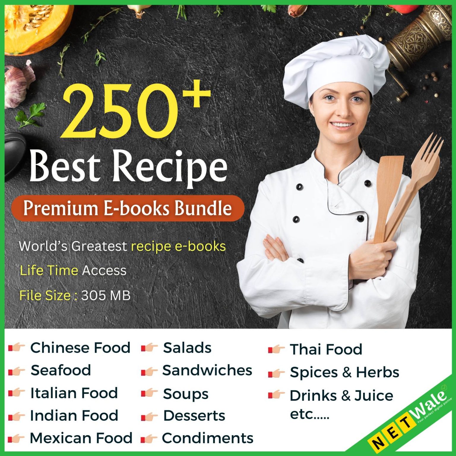 250+ Best Recipe E-books Bundle - Netwale.com